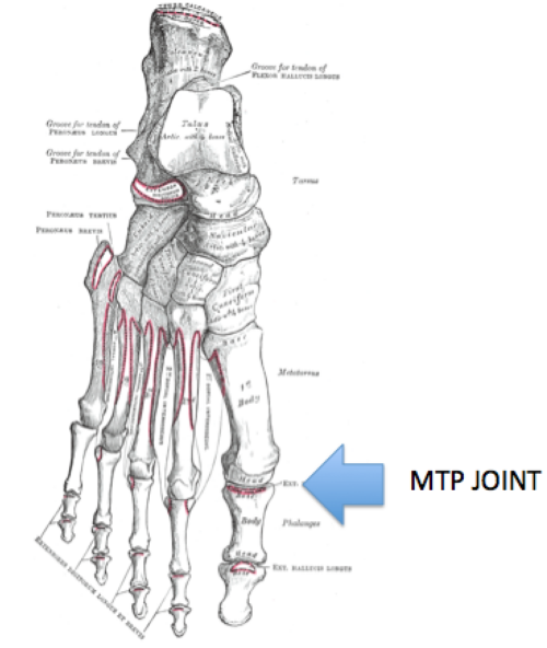 Big Toe, Big Problems - EricCressey.com