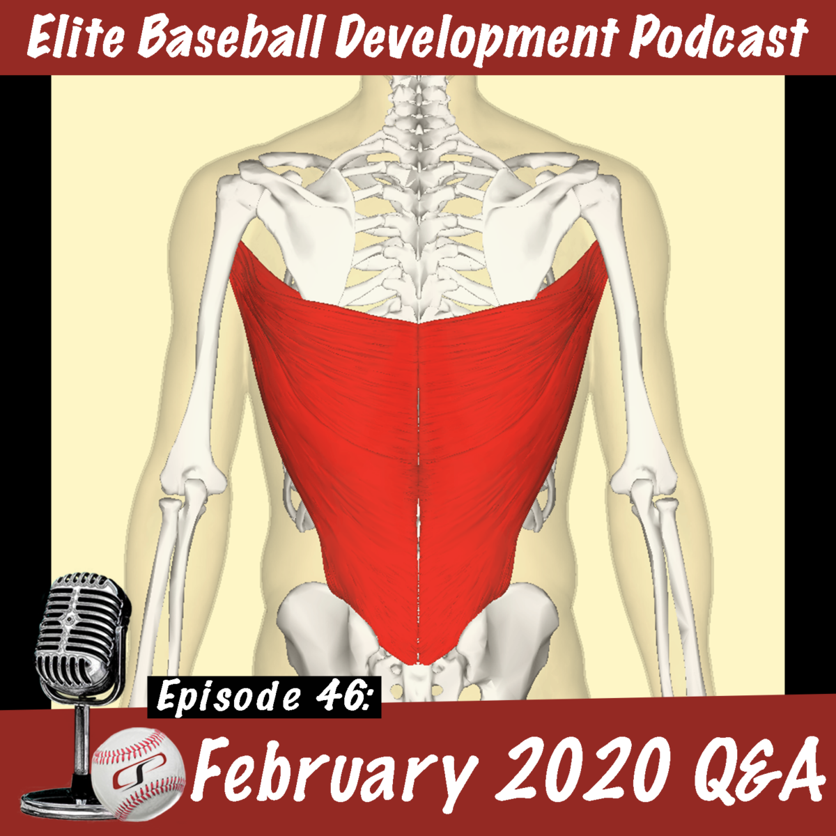 CSP Elite Baseball Development Podcast: February 2020 Q&A with Eric Cressey - EricCressey.com
