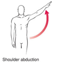 Pitching Mechanics: What's in a Release Point? - EricCressey.com