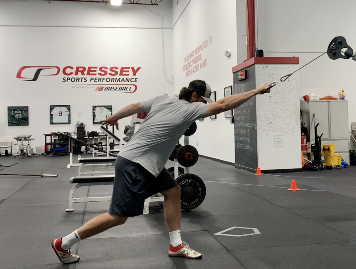 Exercise(s) of the Week: Making the Most of Rotational Rows ...