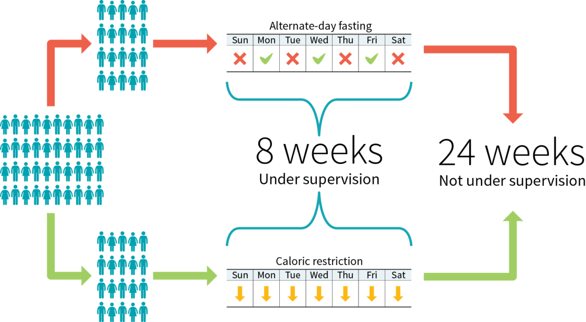 How to Read a Study - EricCressey.com