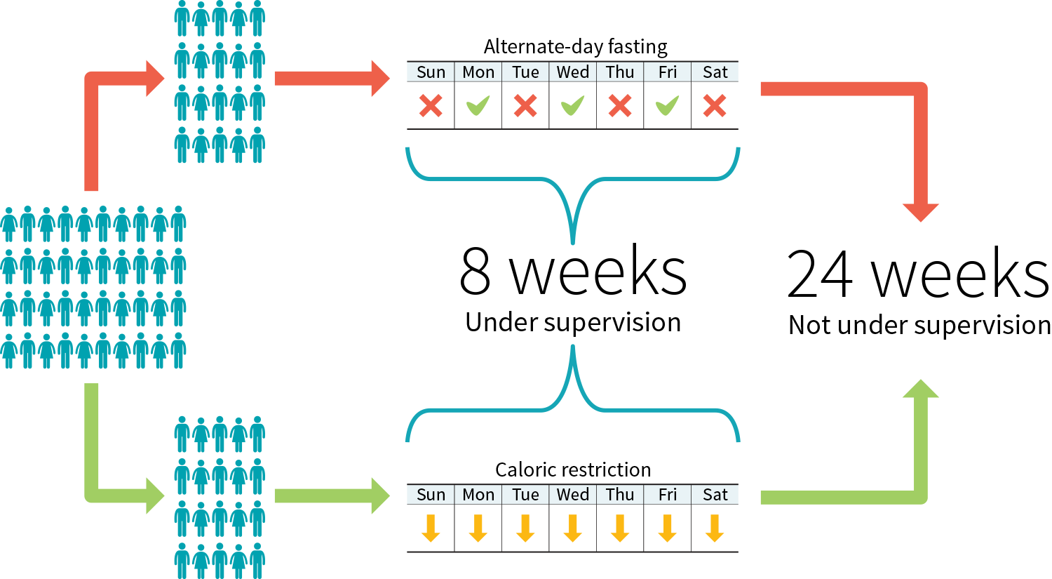 How to Read a Study - EricCressey.com